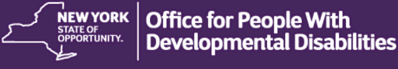 Voting Rights for Persons with Developmental Disabilities | CFSNY