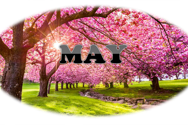 CFS Poetry and Photography Club Celebrates Spring - The Center for ...